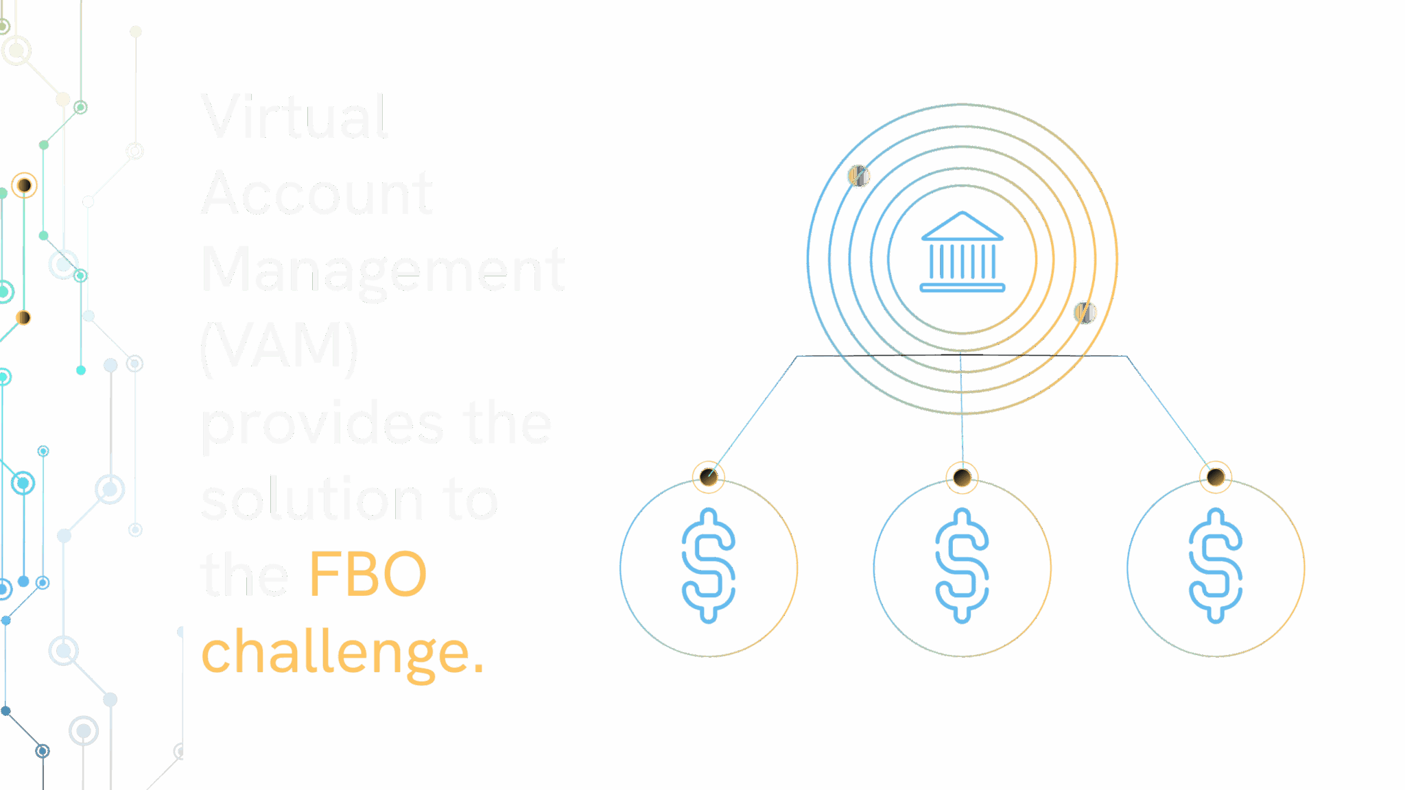 FBO Accounts and Virtual Account Management | Qolo